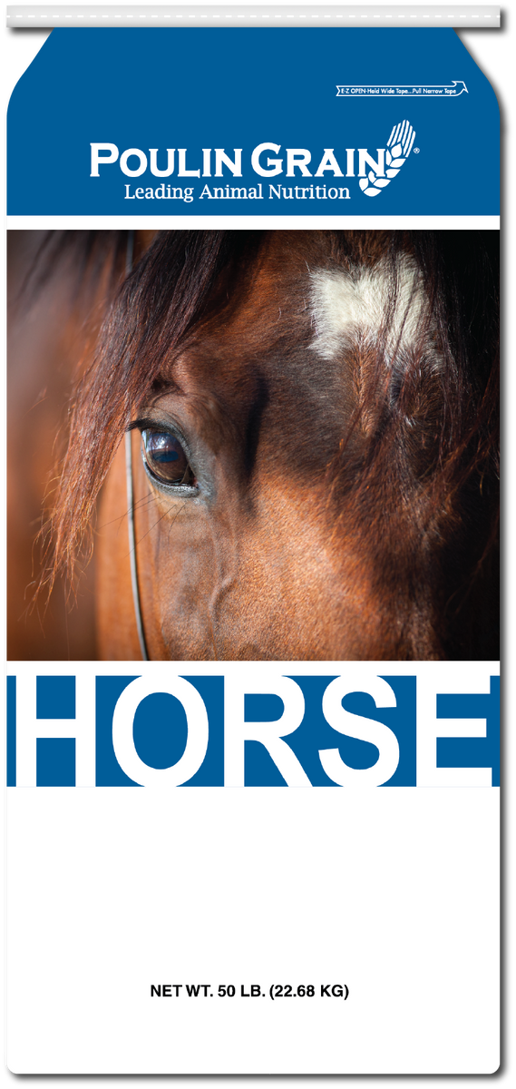 Poulin Grain Forage Extender Mini Bites - East Longmeadow, MA - A.W ...