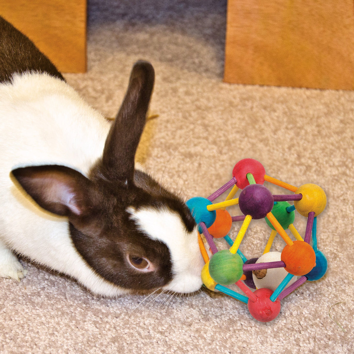 Ware Large Atomic Ball Small Animal Toy - East Longmeadow, MA - A.W ...